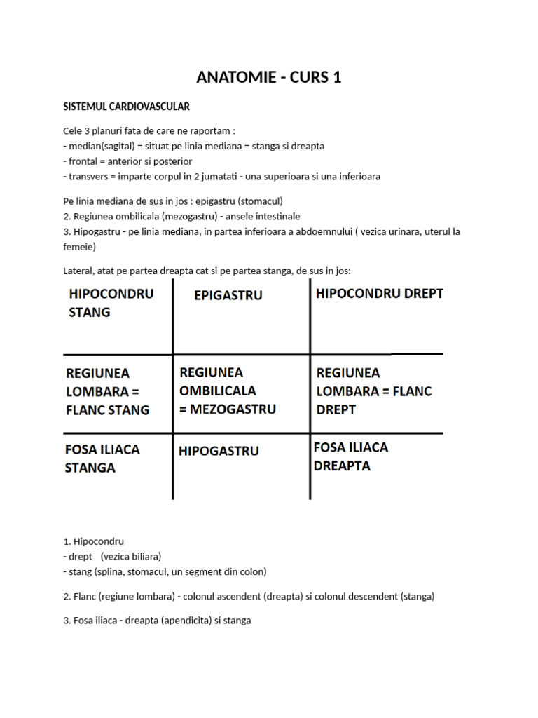 Anatomie Curs 1 | PDF