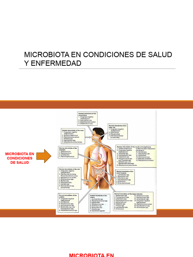Microbiota en Condiciones de Salud y Enfermedad | PDF