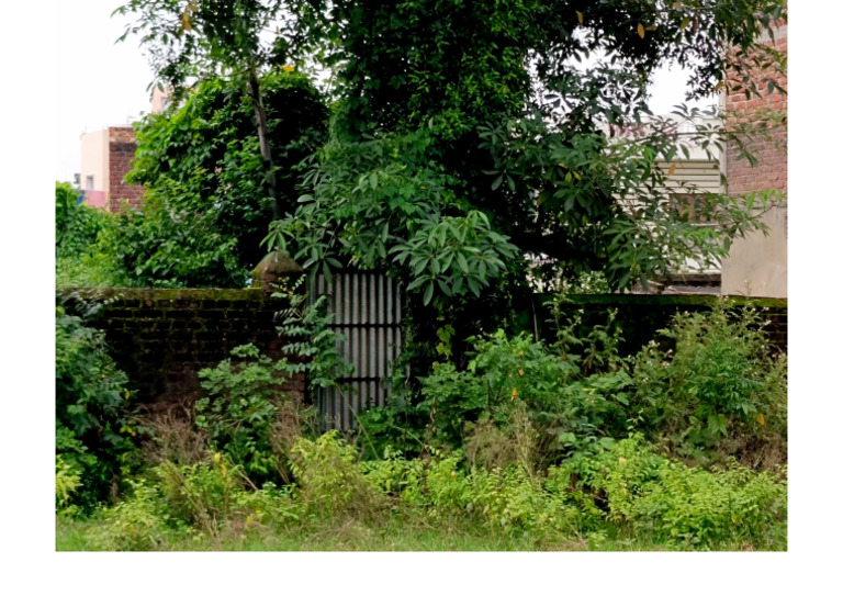 New Doc 08 26 2024 16 18 Pdf