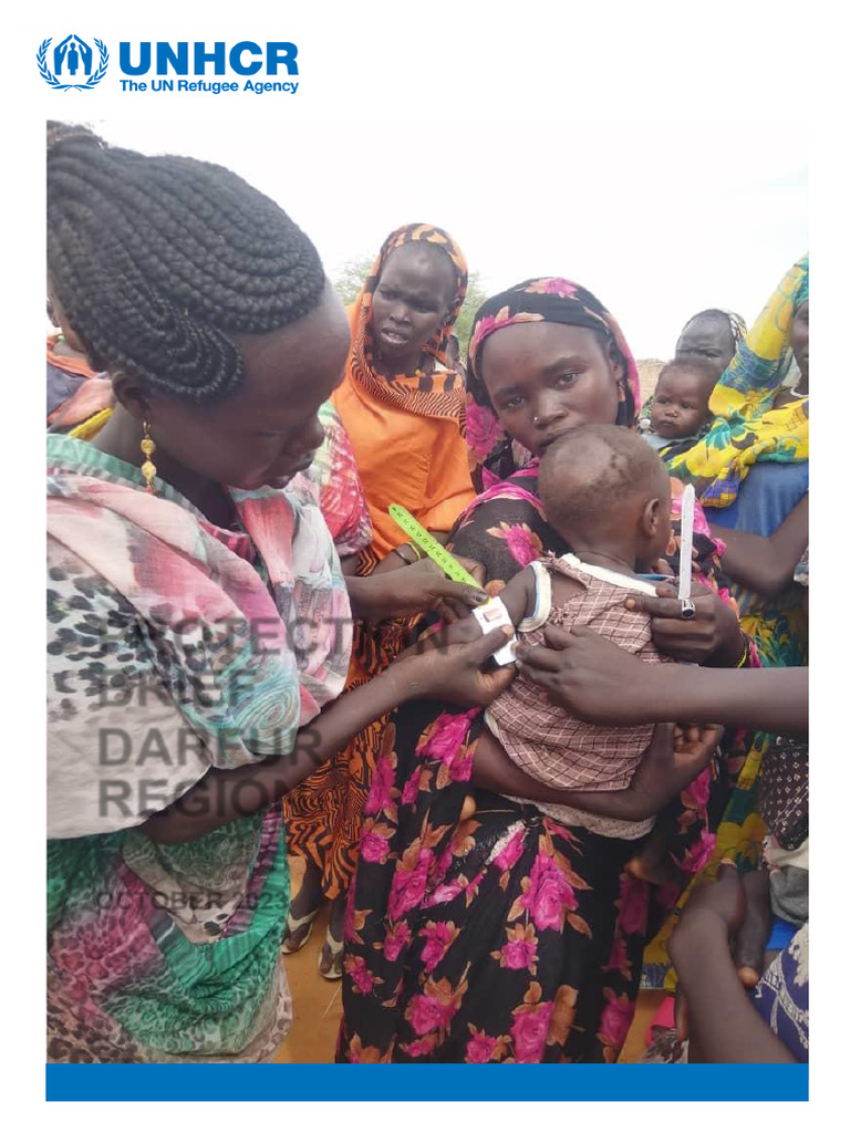 Protection Brief - Darfur - October 2023 | PDF | Internally Displaced ...