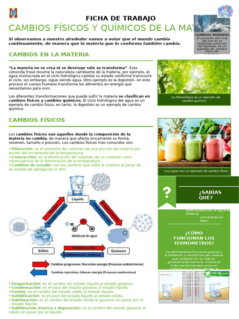 Ficha de Trabajo. Cambios Físicos y Químicos | PDF