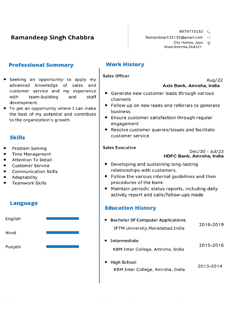 Raman Resume | PDF