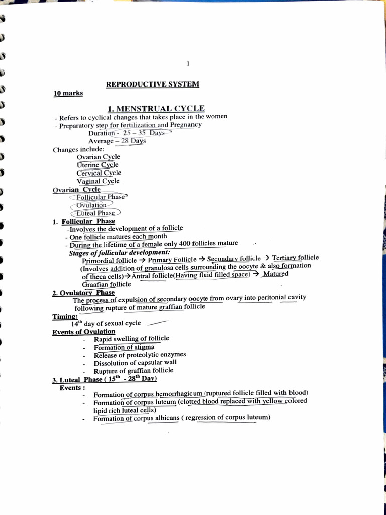 Reproduction Nayan | PDF