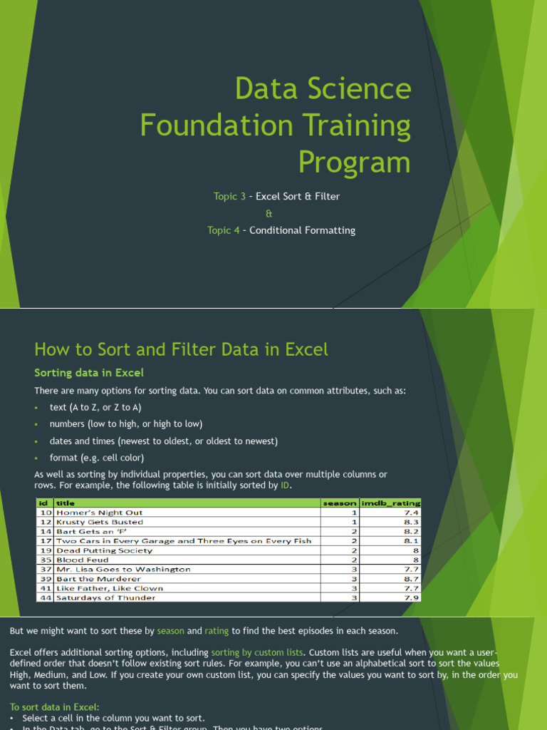 Excel Sort and Filter and Conditional Formatting | PDF