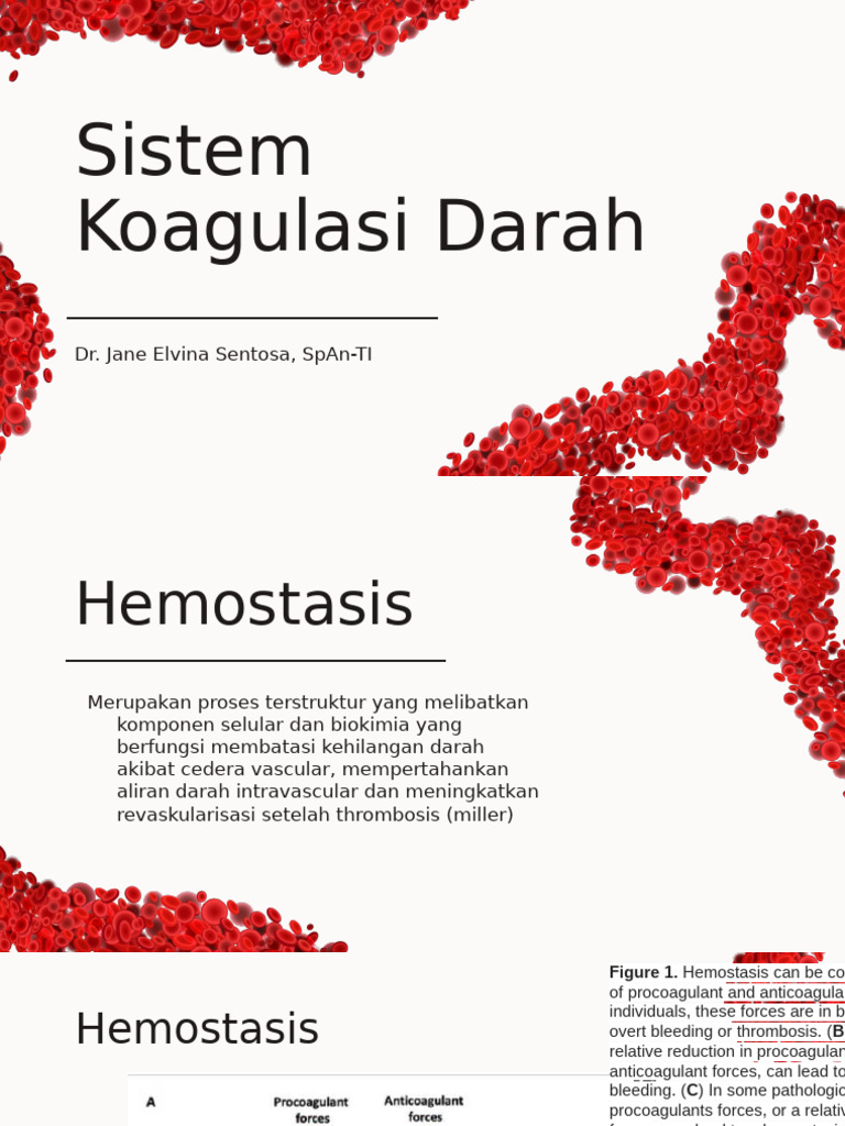 Sistem Koagulasi Darah | PDF