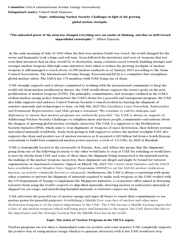 IAEA - Position Paper | PDF