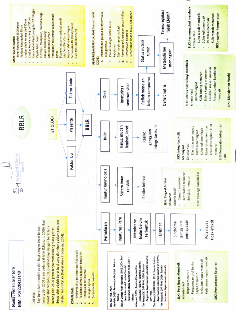 Woc BBLR Neonatus | PDF