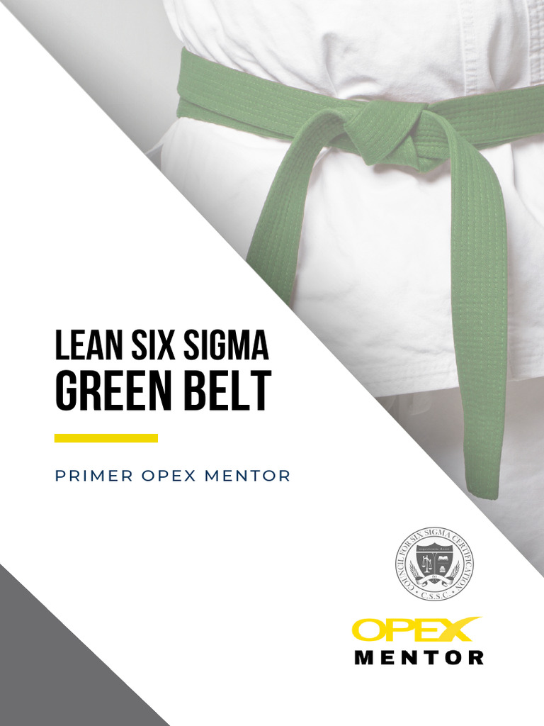 Opex Mentor Lean Six Sigma Green Belt | PDF