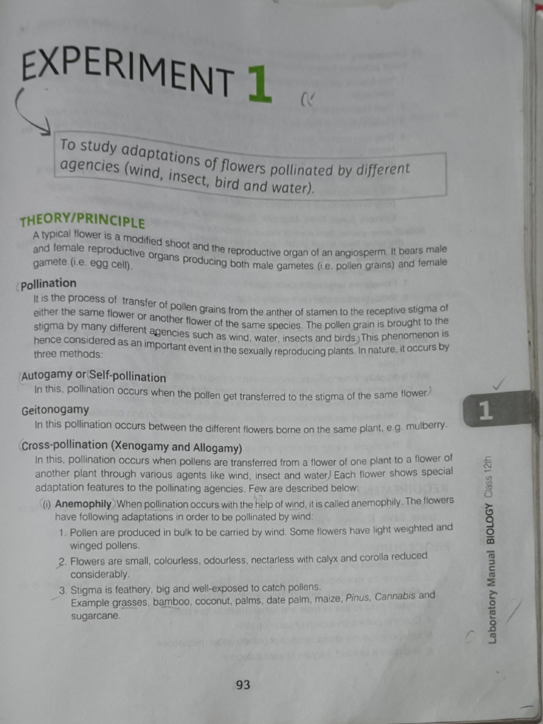 Experiment 1 Spotting | PDF