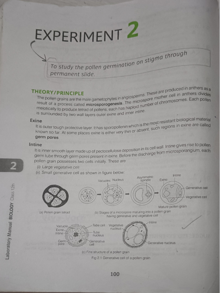 experiment 2 spotting | PDF
