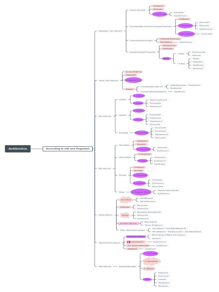 Antibiotics MINDMAP | PDF
