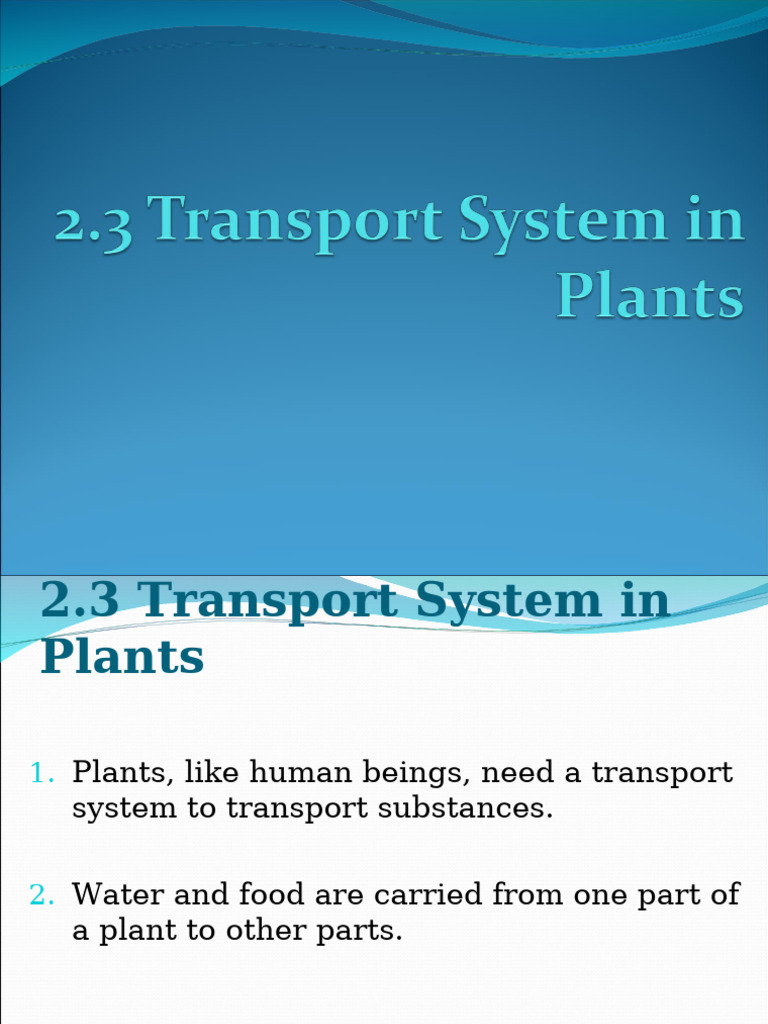 2.3 Transport System in Plants | PDF