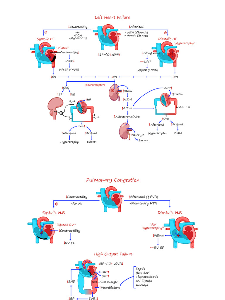 5• Congestive Heart Failure [Illustrations Key] | PDF