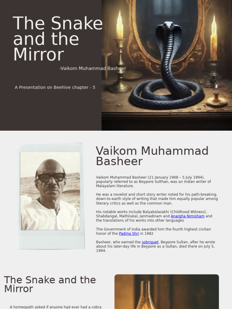 The snake and the mirror | PDF