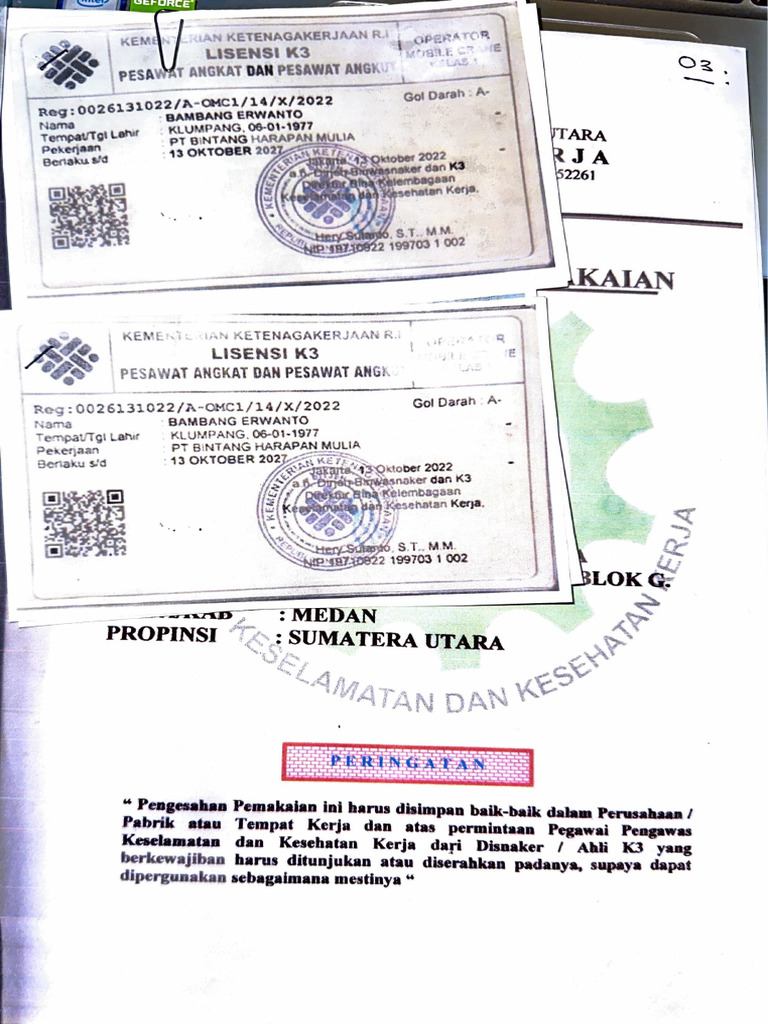 Sio Silo Mobile Crane 2 | PDF