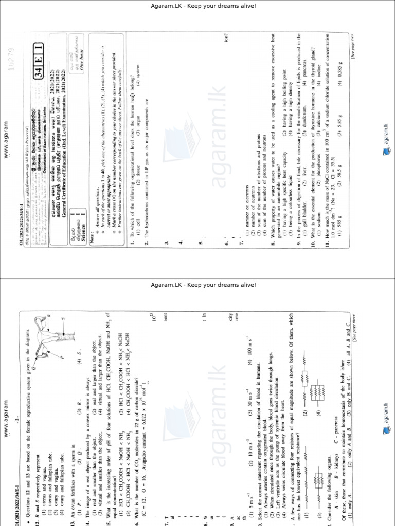 OL Science Past Papers | PDF