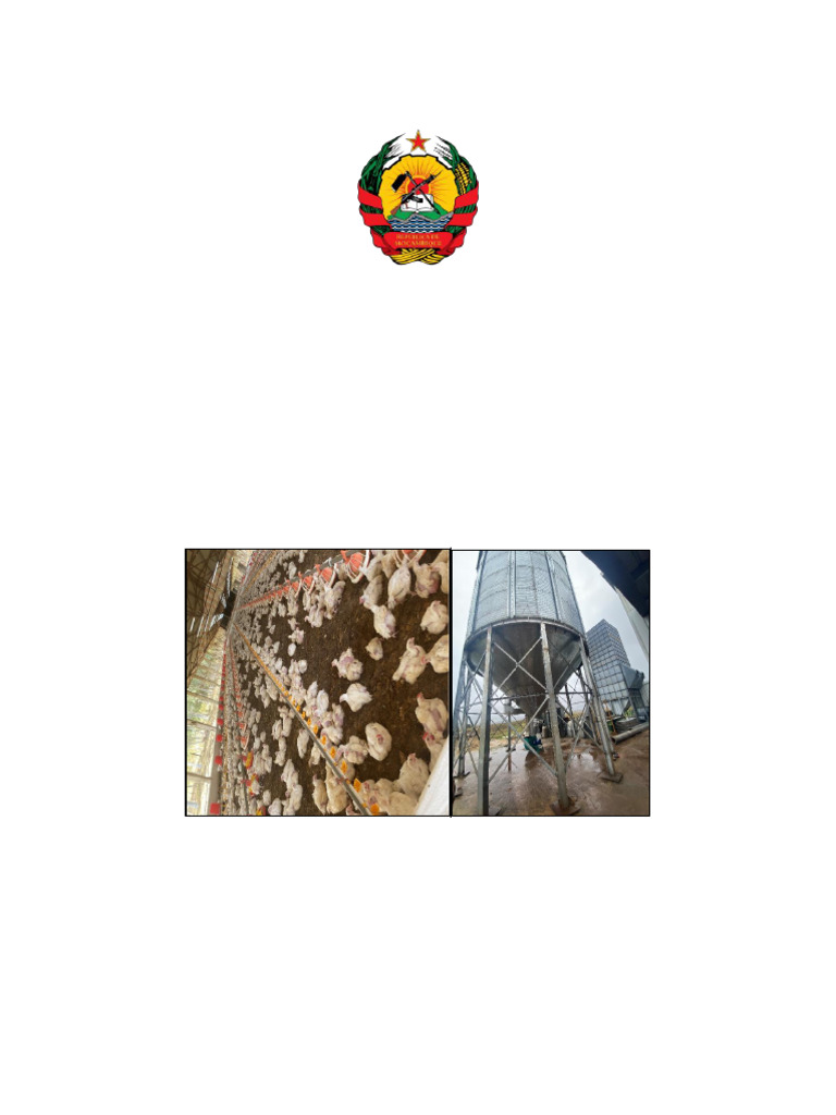 ESIA PROCAVA AfDB | PDF