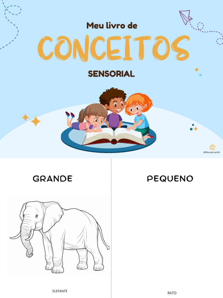 Livro Conceitos EDUCAON V2 | PDF