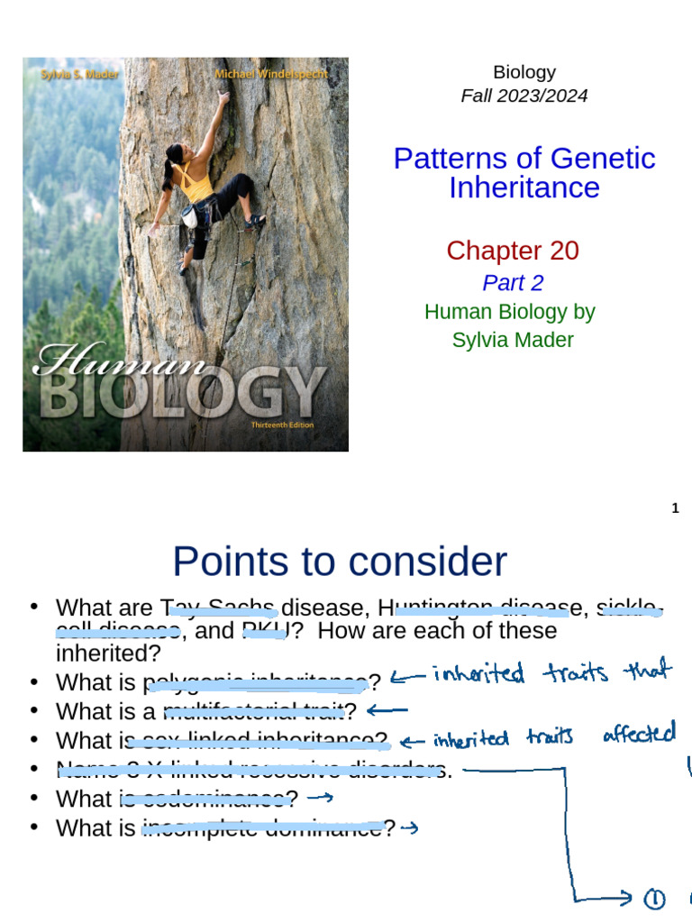 Biology Chapter 20 Part 2 Sylvia Mader (Autosaved) | PDF