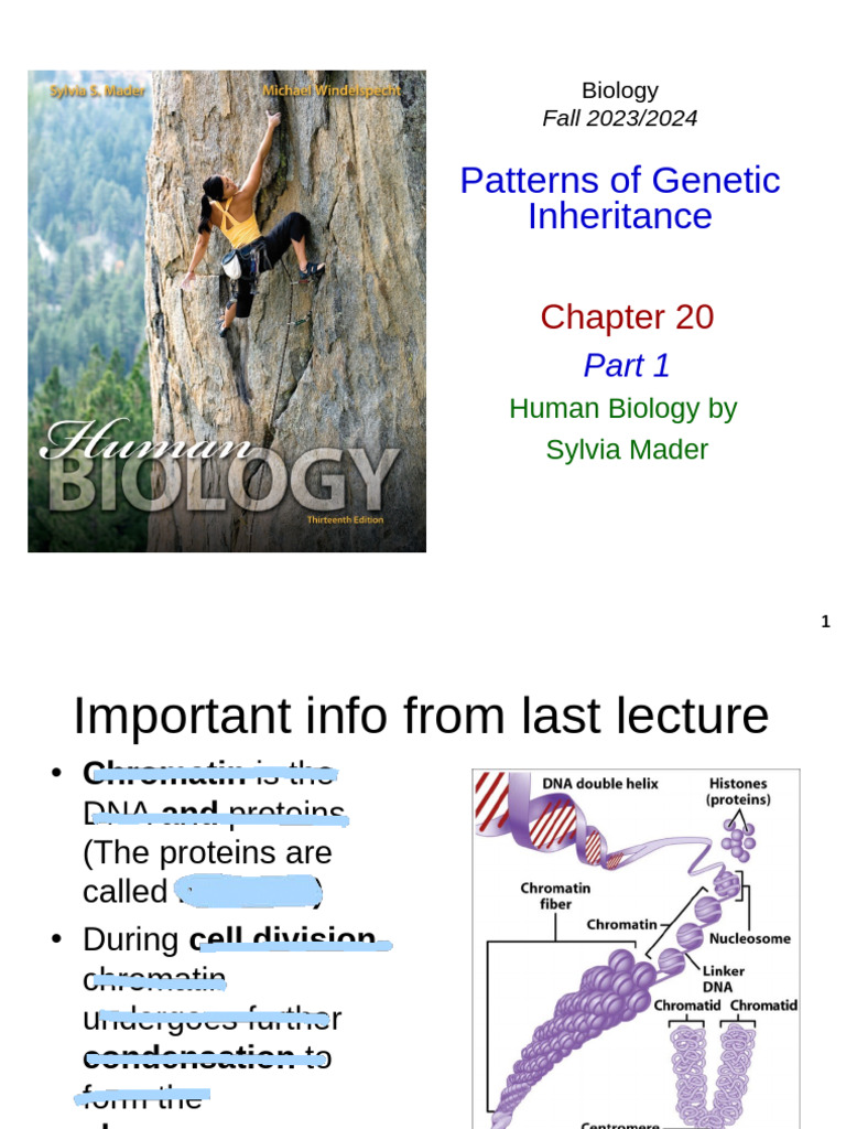 Biology Chapter 20 Part 1 Sylvia Mader [Autosaved] [Autosaved] | PDF