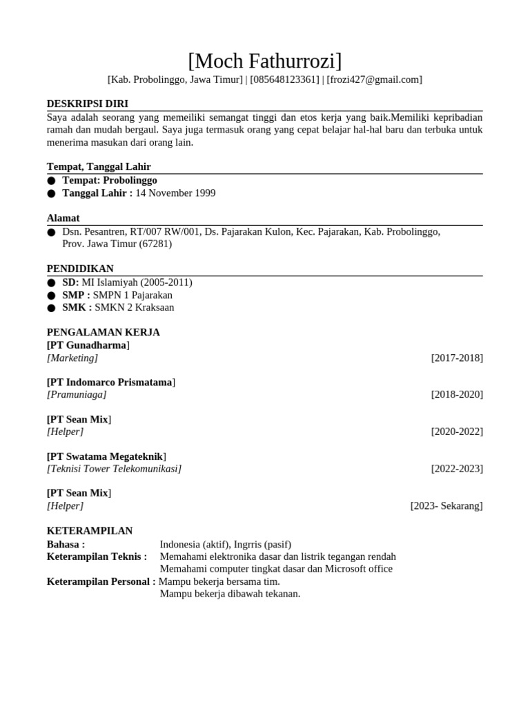 CV Template - Goldman Sachs - Indonesia 2 | PDF