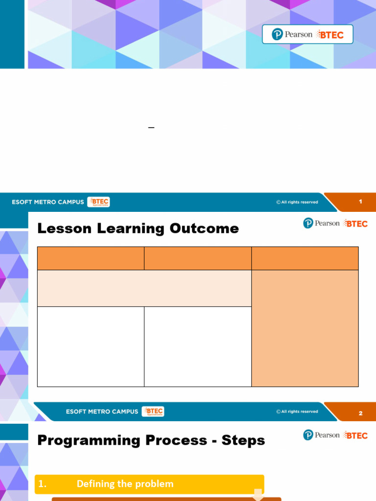 Programming Process | PDF