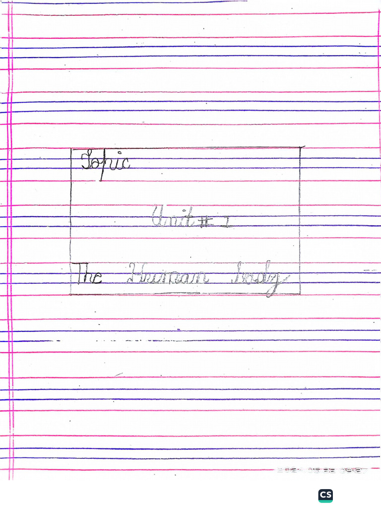 Class 4 Science Notes | PDF