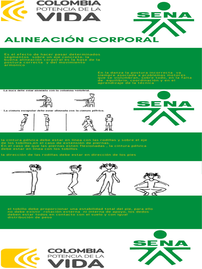 Lineación Corporal | PDF