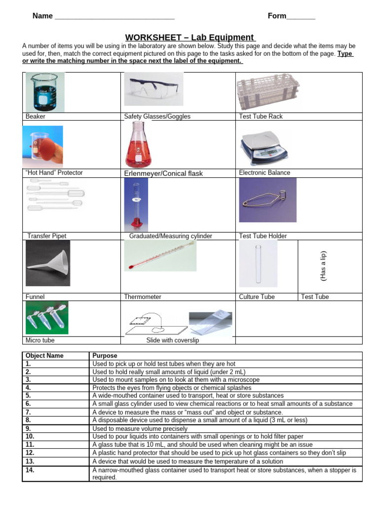 Lab Equipment Work Sheet (1st) | PDF | Wellness | Science & Mathematics