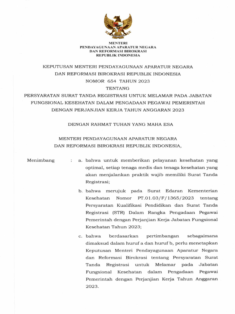 Menpan RB PPPK Kemenkes | PDF