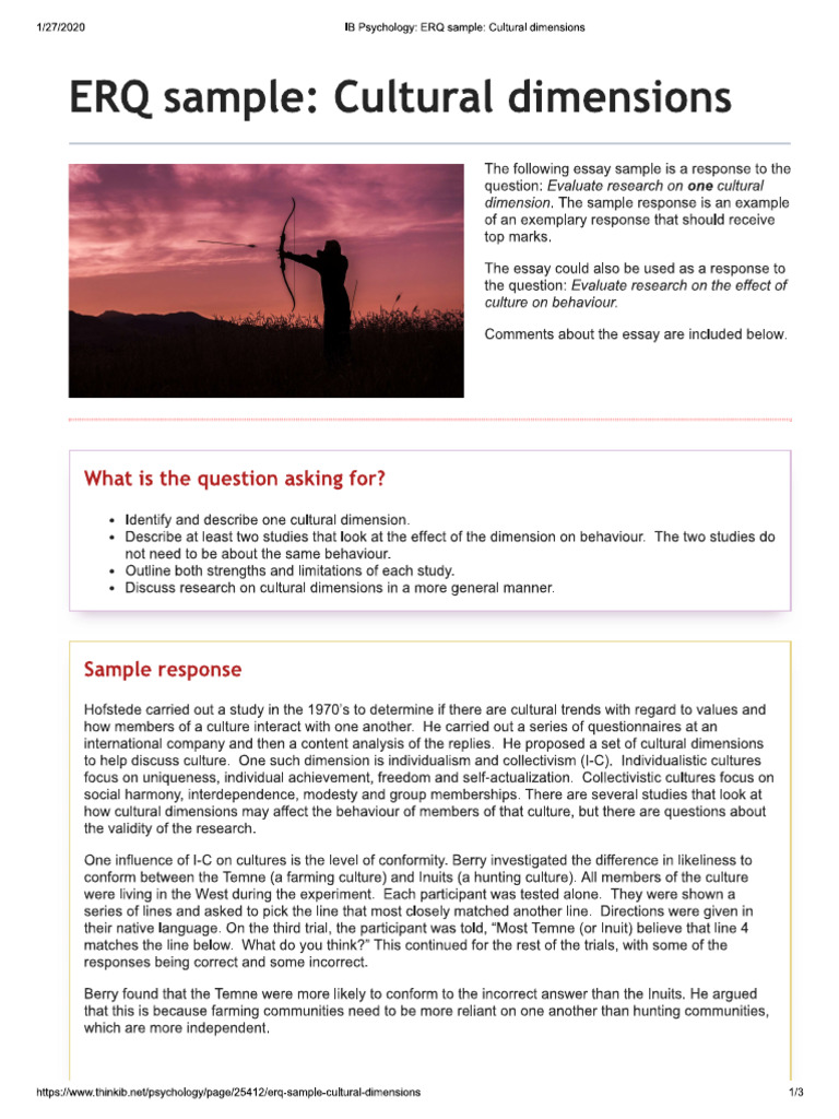 Erq Sample Cultural Dimensions | PDF