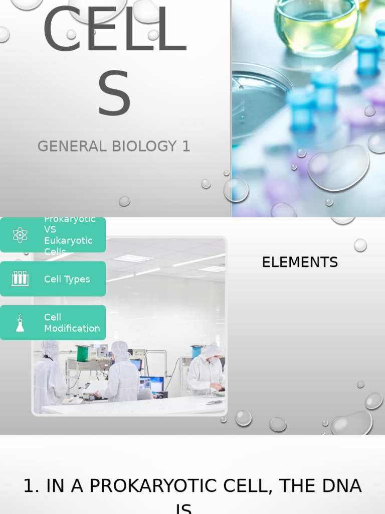 Prokaryotic Vs Eukaryoti Cell | PDF