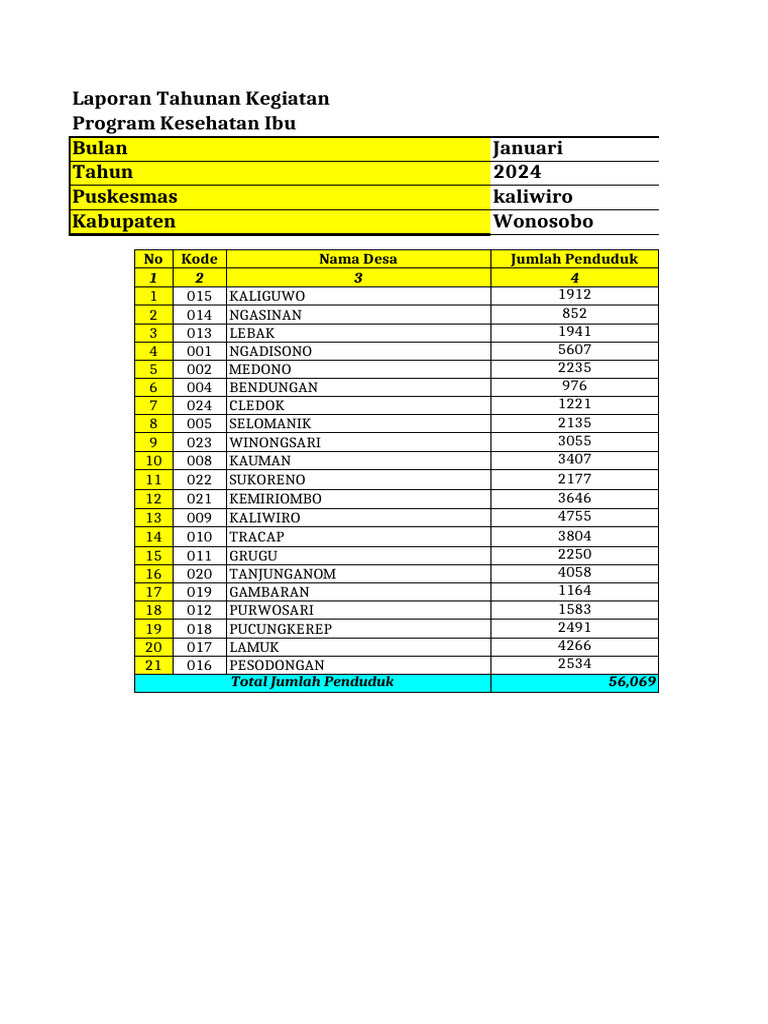 Form Lap. Kinerja Prog. Kes Ibu Th. 2024 - Puskesmas | PDF