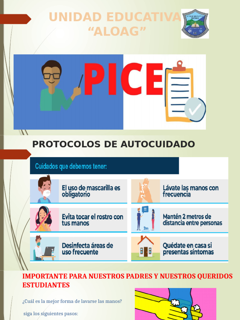 Diapositivas Sensibilización de PICE | PDF