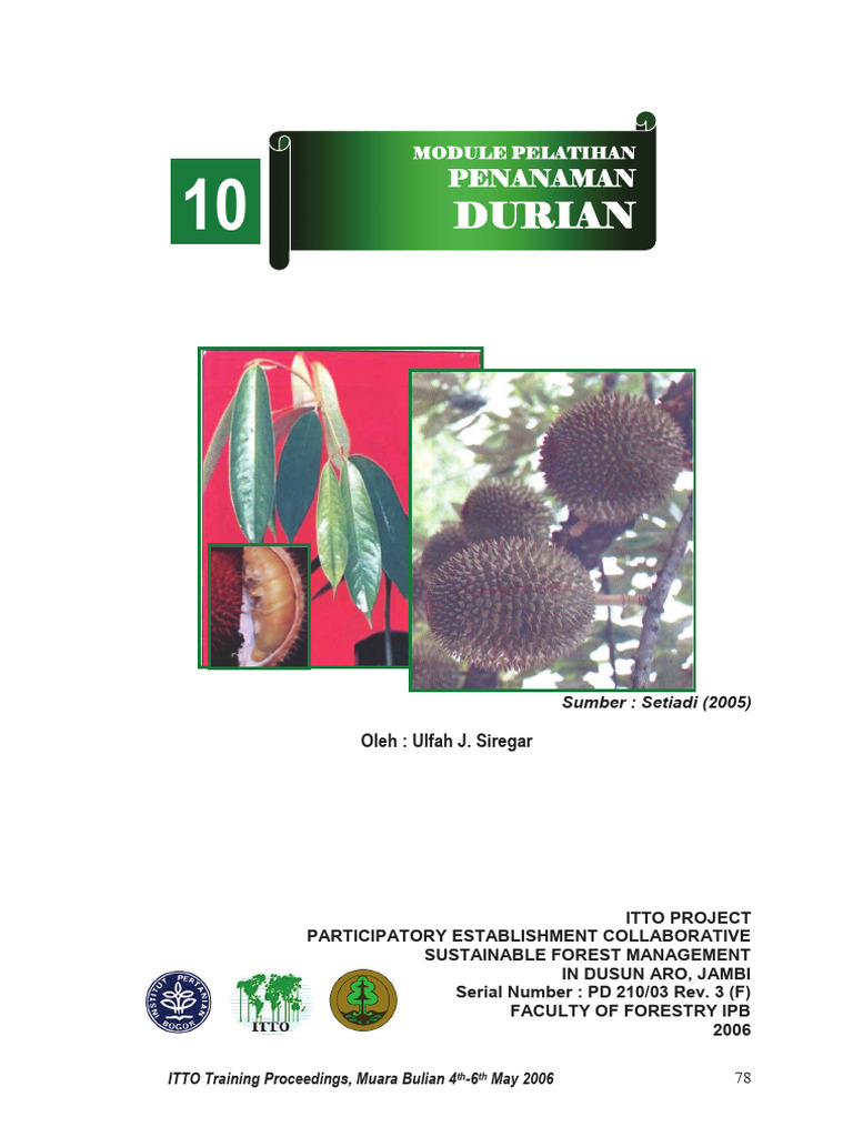 Module Pelatihan Penanaman Durian | PDF