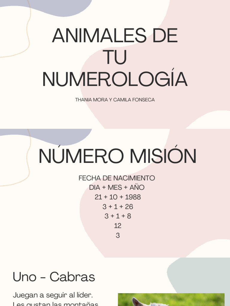 Animales de Tu Numerología | PDF