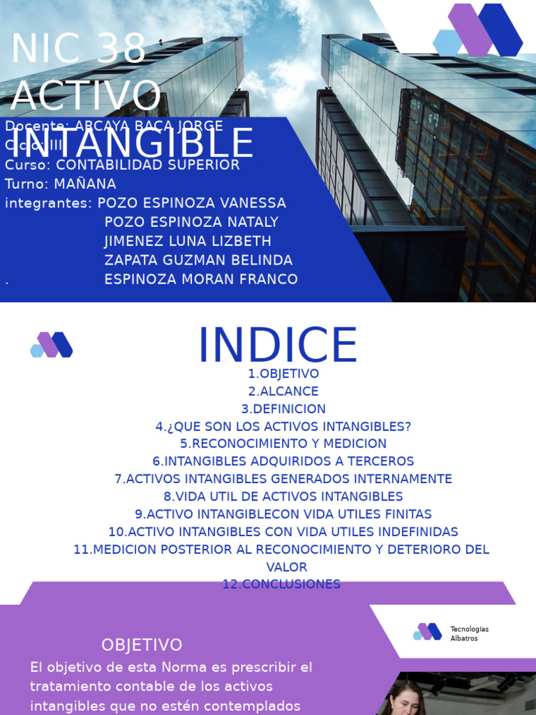 Exposicion de La Nic 38 | PDF