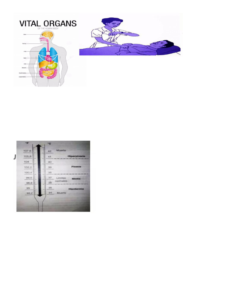 Instrumental | PDF