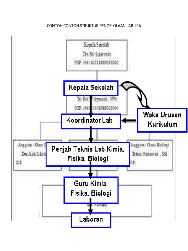 Contoh Contoh Struktur Organisasi Lab Ipa | PDF