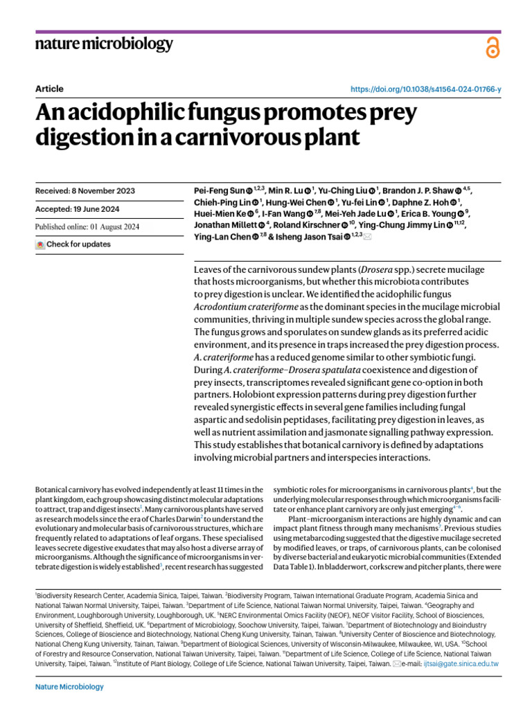 2024 Acrodontium | PDF