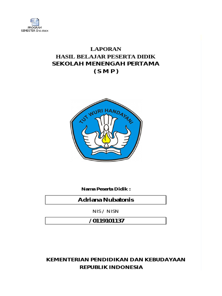 Cover Raport SMP | PDF