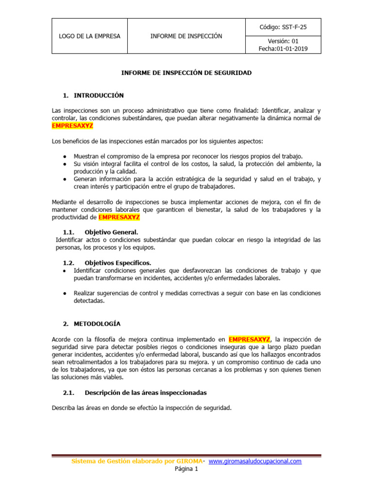 INFORME DE INSPECCION | PDF