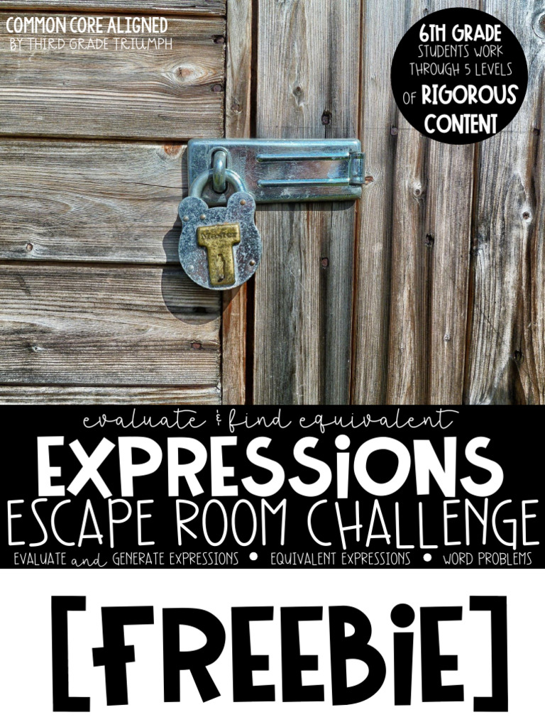 Expressions: (Freebie) | PDF