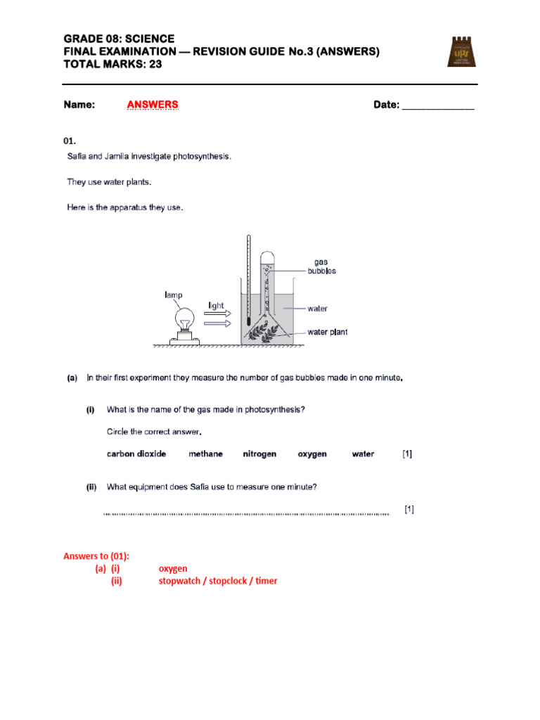 Revision FE No.3 - Grade08 (Student Copy) ANSWERS | PDF