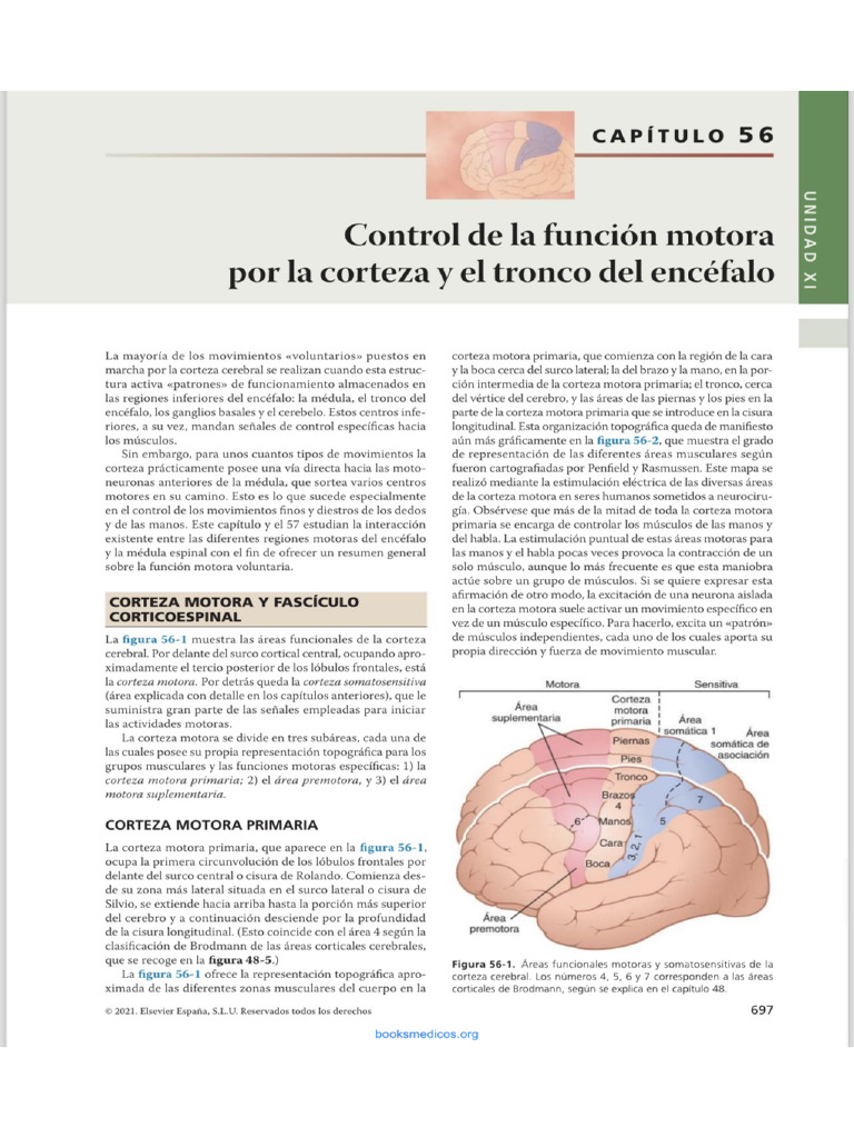 Fisiología Guyton | PDF
