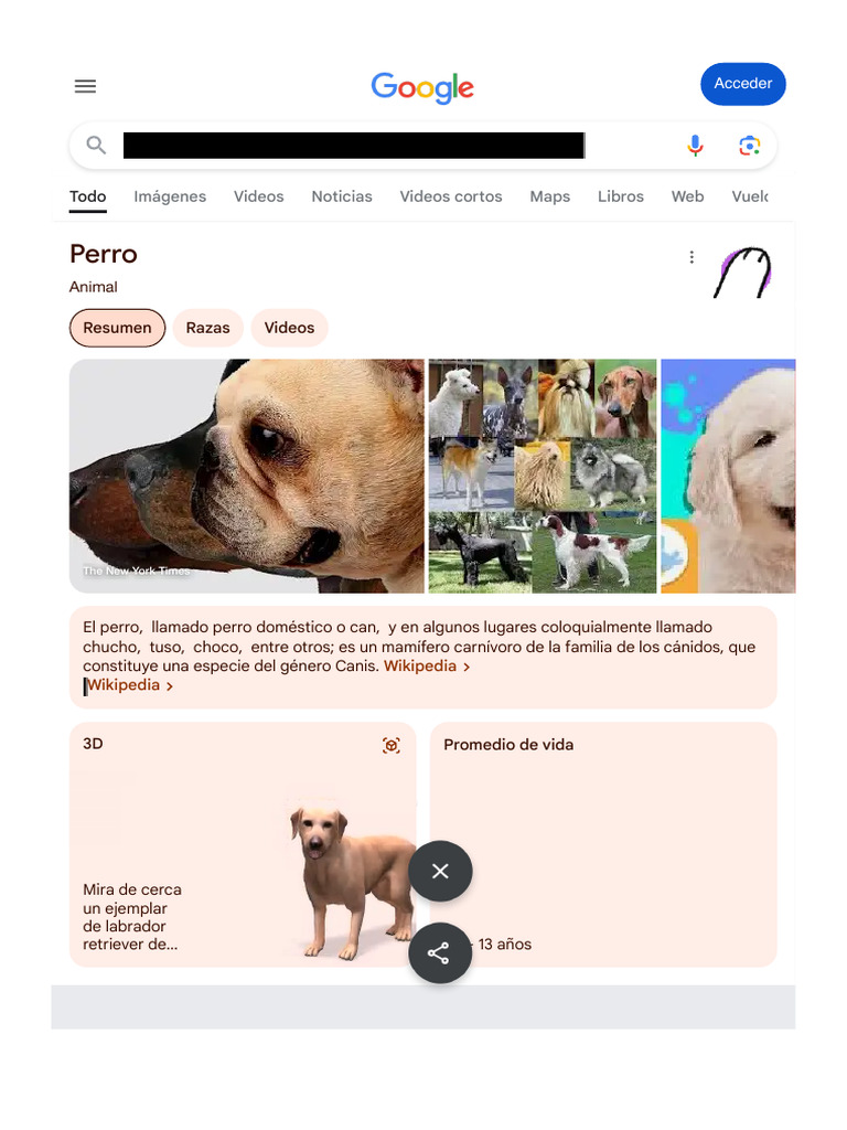 Perro - Buscar Con Google | PDF | del perro | Razas de perros