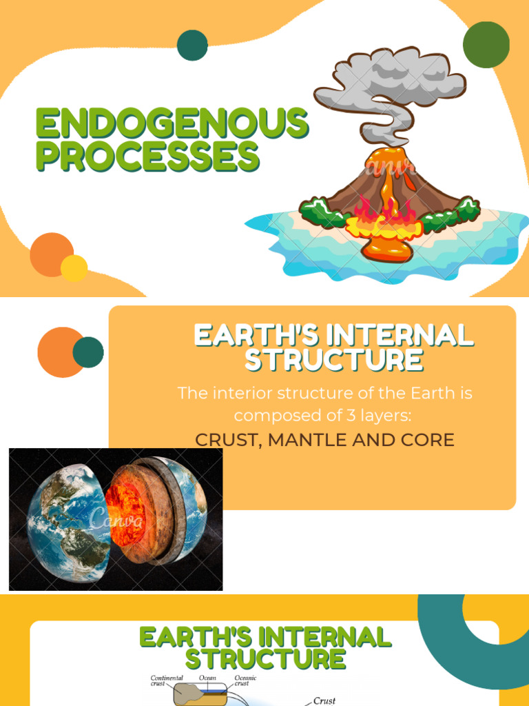 ENDOGENOUS PROCESSES | PDF