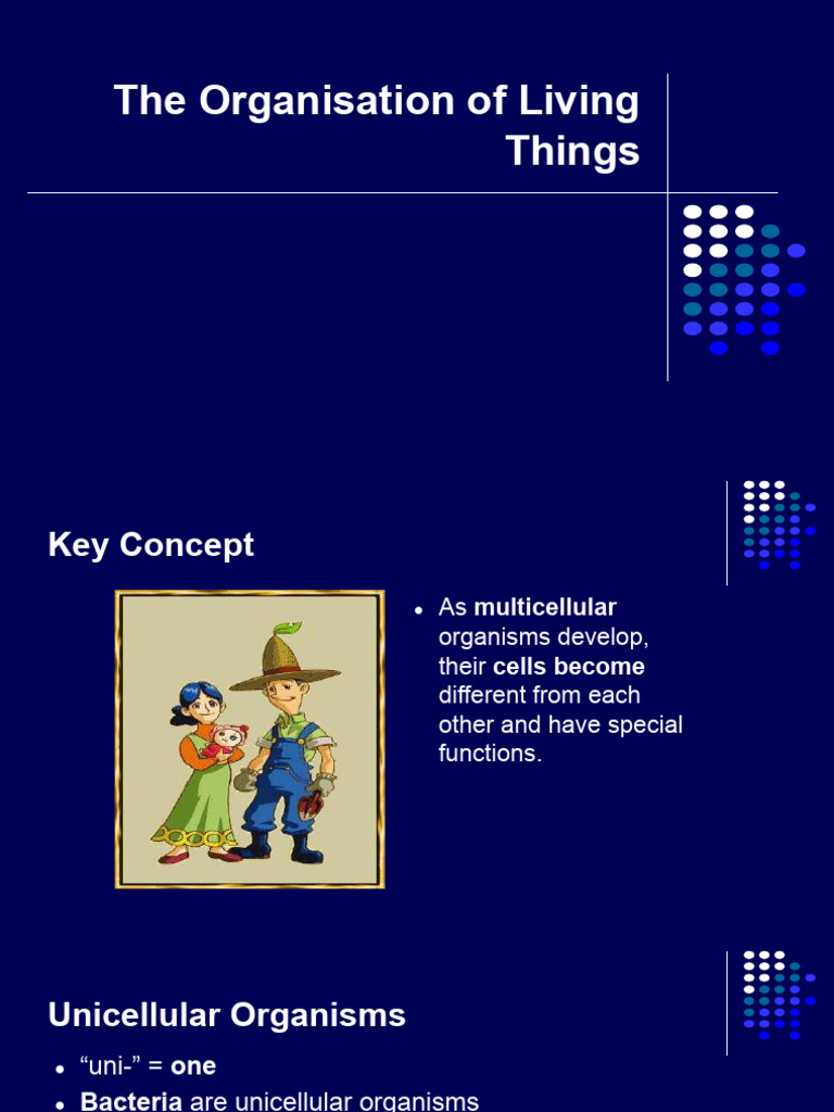 The Organisation of Living Things - Revised | PDF | Cell (Biology ...