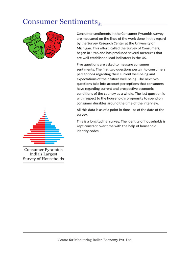 Consumer Sentiments Brochure | PDF