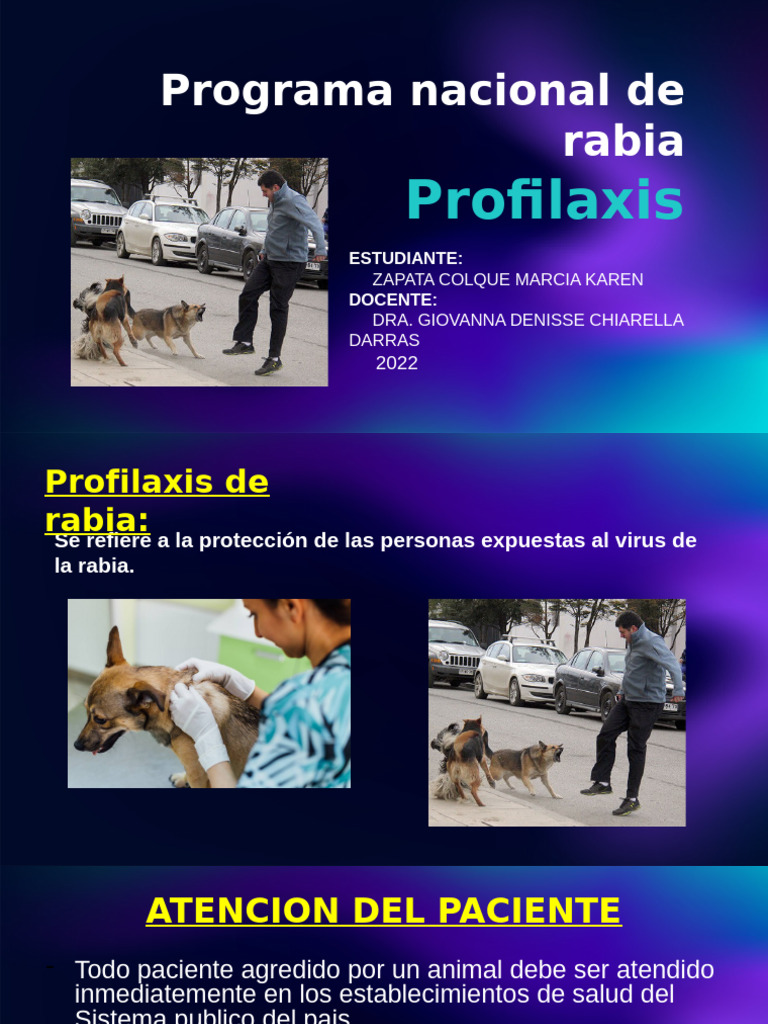 Rabia Profilaxis PP | PDF